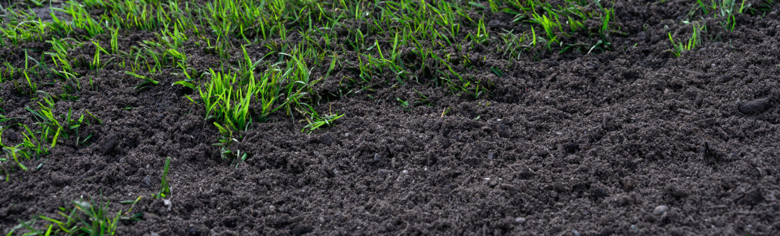 Bulk Top Soil | Wirtz & Daughters